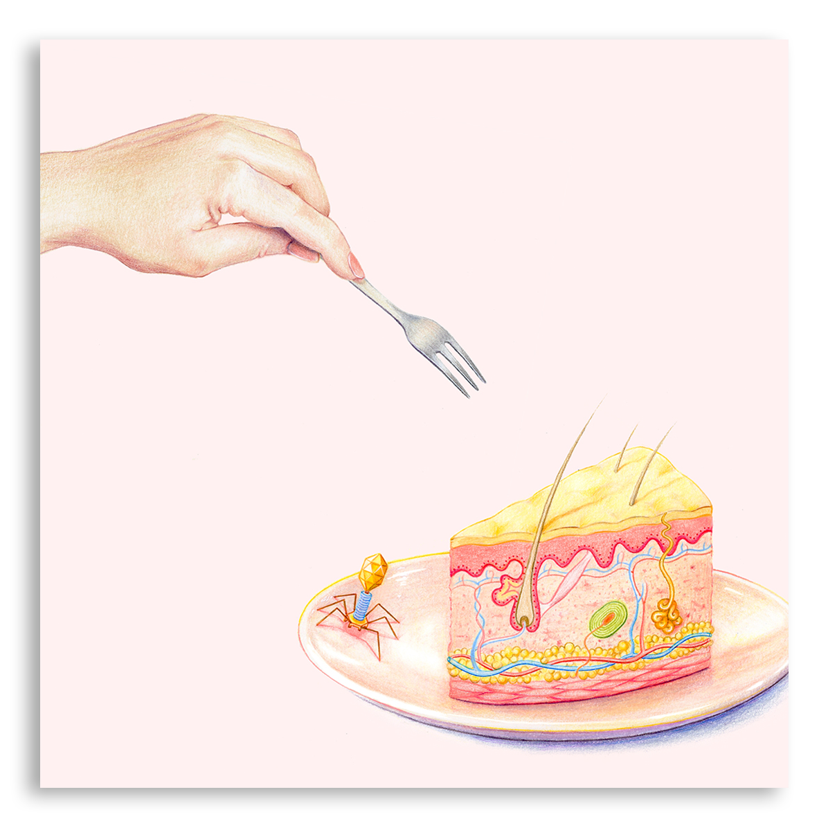 Art Print-Skin Cake – EMMACHENG