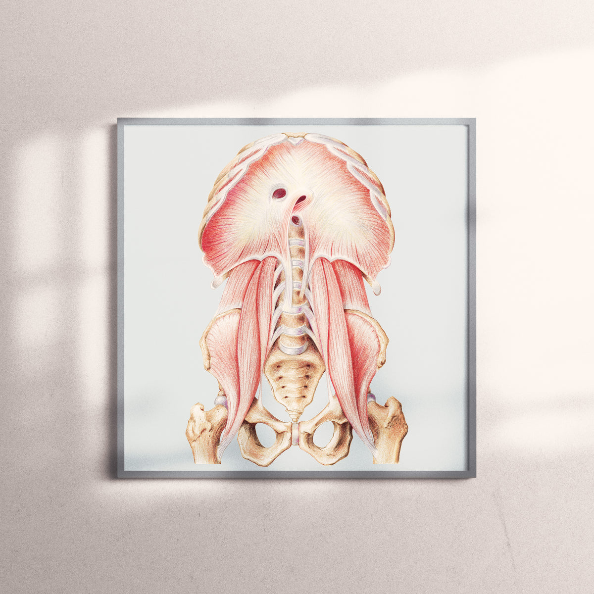 Art Print-Diaphragm and Surroundings – EMMACHENG